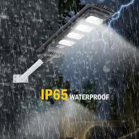 China 50-300W High Lumen Induction Power Solar Street Lamps for Road and Garden Lighting for sale