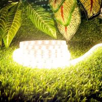 China Flexible Solar Strip Light for Home Decor Wedding Christmas 2835 LEDs Waterproof IP65 for sale