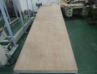 China EN71-1 2014 Toys Testing Equipment Ramp 10 ± 1 Degree Motor Brake Performance Testing Ramp for sale