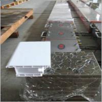 China Customizable UPVC Extrusion Moulding for Window Customizable Design Solution for sale