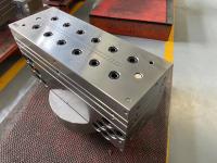 China Co-Extrusion Wallboard Asa Pc Pe Upvc Profile Extrusion Die Mold Moulds in Silver PVC for sale