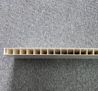 China PVC Hollow Panel Extrusion Mould/ Upvc Window Making Machine Plastic with 1 Cavity for sale