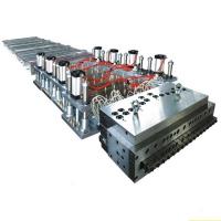 China 3CR17 Mould Material Door and Wall Panel Mold for PVC Hollow Lattice Plate Panels for sale