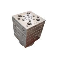 China Customized 3CR17 Mould Cavity PVC Profile Part Extrusion for Window and Door for sale
