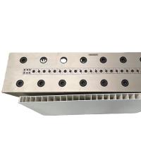 China 3CR17 Mould Material UPVC Hollow Lattice Plate and Door Plate for Interior Panels for sale