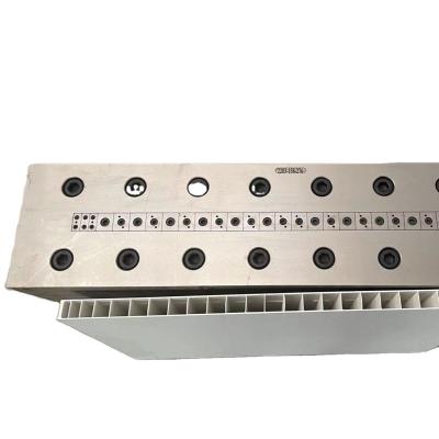 China 3CR17 Mould Material UPVC Hollow Lattice Plate and Door Plate for Interior Panels for sale