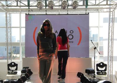 China Seamless PH4.81 LED Video Panel Outdoor Advertising Screen 500x1000mm for Fashion Show for sale