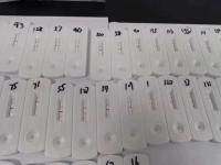 China Testsealabs One Step Mycoplasma Pneumoniae Ab IgG IgM Rapid Test Kit for sale