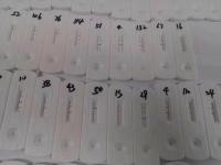 China CE Approval Combo Whole Blood IgG IgM Rapid Test Kit for sale