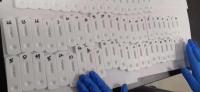 China Diagnostic POCT Procalcitonin (PCT) IgG IgM Rapid Test Kit for sale