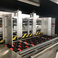China Automatic Paperboard Die Cutting Creasing Machine with Stripping High Speed for sale
