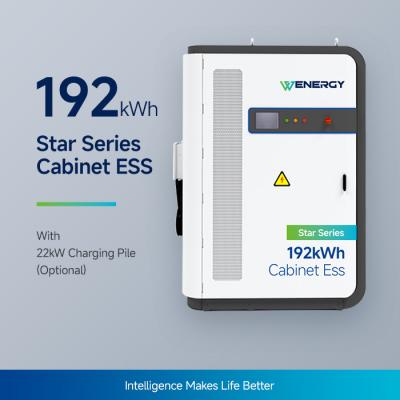 China 125kW / 192kWh Liquid-Cooled Commercial Battery Energy Storage Cabinet for sale