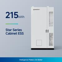 China 100kW / 215kWh Liquid-Cooled BESS Cabinet for Commercial Applications for sale