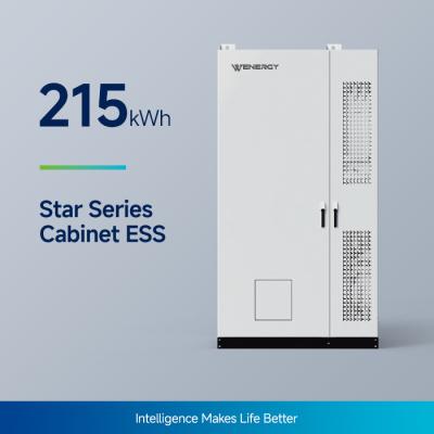 China 100kW / 215kWh Liquid-Cooled BESS Cabinet for Commercial Applications for sale