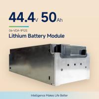 China Custom 2.2Kwh 44.4V 50Ah VDA NMC Lithium Battery Module For E Truck And Electric Vehicle for sale