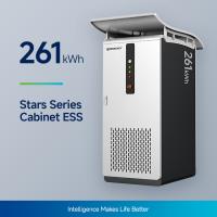 China 261kWh Liquid Cooling Energy Storage Cabinet with 125kW Power Output for Commercial Battery Storage Systems for sale