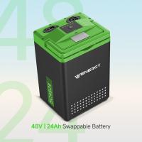 China 48V 1200Wh LiFePO4 Battery Pack  1kWh Outdoor Power & E-Motorcycle Battery for sale