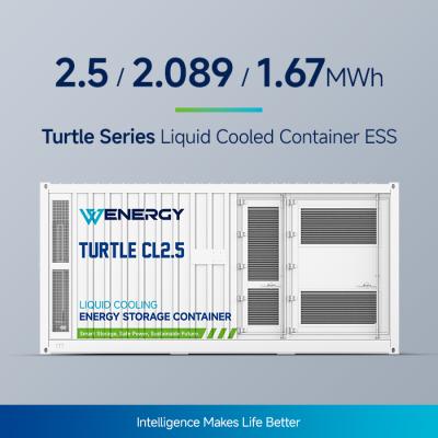 China (Grid-Tied Version) Turtle CL2.5 Series AC/DC Integrated Containerized BESS for sale
