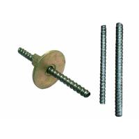China D12/D15/D17/D20 Q235/Q345 Formwork Tie Nut With Galvanized Wings Nut Compatibility for sale