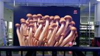 China IP43 P3.91mm Stage Rental LED Display 500x500mm Pantalla Panel for sale
