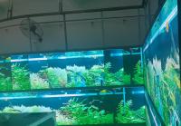 China LED advertising board digital display electronic digital sign board fixed screen P4mm for sale