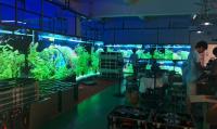 China LED advertising board digital display electronic digital sign board fixed screen P4mm for sale