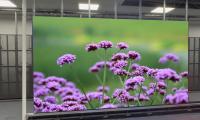 China High Definition LED Display P1.25 Small Pixel Indoor Video Wall Lightweight Stage for sale