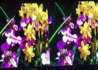 China External Hd Led Display Wall Pixel 2.9mm High Brightness For Rental for sale