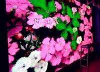 China P3 Indoor Full Color Smd Led Display Screen 160 Degree With Front Service for sale