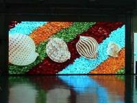 China Professional P4 Hd Led Display With Customized Design 960 X 960 Mm for sale