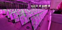 China 7000nits High Brightness Energy-Saving LED Perimeter Boards SMD2727 P10 for Outdoor Stadium Advertising for sale