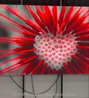 China High Definition Indoor Fixed Display Screen Series P1.56/P1.95/P2.5/P2.604/P2.976/P3.91 1000X250 for sale