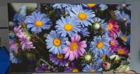 China High-Resolution COB Indoor LED Video Wall Small Pitch Ultra-Thin And Lightweight for sale