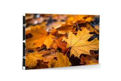 China P1.25mm COB Indoor LED Video Wall with Micron-Level Distance and Advanced Control Technology in Die-cast Aluminum for sale