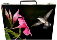 China HD Outdoor Stage Rental LED Display P2.976mm 3840Hz No Strips SMD1515 LEDs for sale
