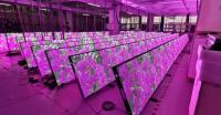 China Outdoor P8.33 Perimeter LED Display with 7000nits High Brightness 3840Hz Refresh Rate and Front & Rear Maintenance for sale