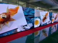 China Indoor P3.91mm 500x500mm Stage Rental LED Display 3840Hz Refresh Rate for sale