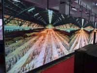 China P2.9mm Stage Rental LED Display High Contrast Ratio 1000cd/Sqm Front Service for sale