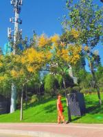 China High Gain 2G 3G 4G Repeater Antenna For Waterproof Outdoor Amplification for sale