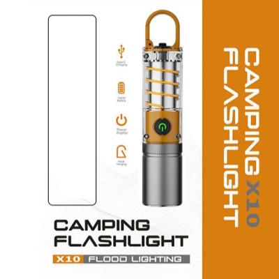 China 1000 Lumens Outdoor Rechargeable Camping Lights IP65 Mosquito Killer Flashlight for sale