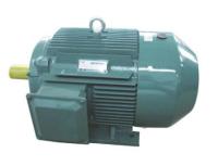China YX3 series (EFF1) high efficiency three phase asynchronous motors Speed 3000RPM 2P 50Hz Y2-80M1-2 Y2-80M2-2 Y2-90S-2 Y2-90L-2 Y2-100L-2 Y2-112M-2 Y2-132S1-2 Y2-132S2-2 Y2-160M1-2 for sale