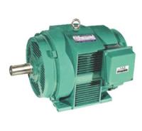 China Y2 series three phase asynchronous motors  Y2-315S-10 Y2-315M-10 Y2-315L1-10 Y2-315L2-10 Y2-355M1-10 Y2-355M2-10 Y2-355L-10 for sale