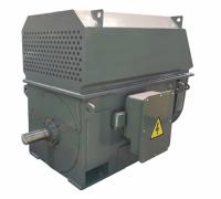 China Three phase asynchronous high voltage motor YKK4507-10 YKK4508-10 YKK4509-10 YKK5005-10 YKK5006-10 YKK5007-10 YKK5008-10 YKK50010-10 YKK5601-10 YKK5602-10 YKK5603-10 YKK6301-10 YKK6302-10 for sale