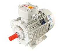 China High efficiency flameproof 3 phase induction motor YBX3-315S-2 YBX3-315M-2 YBX3-315L1-2 YBX3-315L-2 YBX3-315L2-2 YBX3-355M1-2 YBX3-355M2-2 YBX3-355L1-2 YBX-355L2-2 YBX3-355L3-2 YBX3-L4-2 for sale