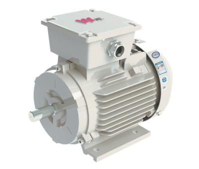 China YFB3 series flamefroof frequency converter 3-phase induction motor YFB3-80M1-2 YFB3-80M2-2 YBX-90S-2 YBX-90L-2 YBX-90L-2 YFB3-100L-2 YFB3-112M-2 YFB3-132S1-2 YFB3-132S2-2 YFB3-160M1-2 YFB3-160M2-2 for sale