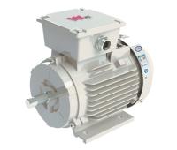 China YFB3 series flamefroof frequency converter3-phase induction motor YFB3-80M1-8 YFB3-80M2-8 YBX-90S-8 YBX-90L YBX-90L-8 YFB3-100L-8 YFB3-112M-8 YFB3-132S1-8 YFB3-132S2-8 YFB3-160M1-8 YFB3-160M2-8 YFB3-1 for sale