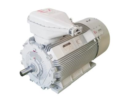 China YBK3 series flameproof 3-phase induction motor YBK3-280S-6 YBK3-280M-6 YBK3-315S-6 YBK3-315M-6 YBK3-315L1-6 YBK3-315L-6 YBK3-315L2-6 YBK3-355M1-6 YBK3-355M2-6 YBK3-355L1-6 YBX-355L2-6 YBK3-355L3-6 YBK for sale