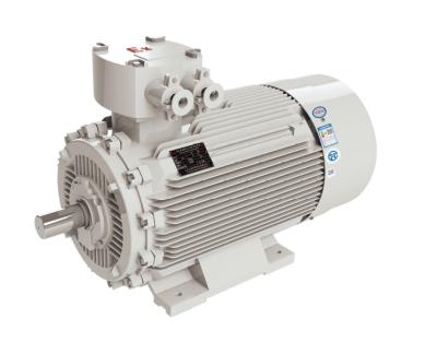 China YBX3 series high efficiency flameproof 3- phase induction motors YB3-630-12 YB3-710-12 YB3-800-12 YB3-560-14 YB3-630-14 YB3-710-14 YB3-800-14 YB3-560-116 YB3-630-16 YB3-710-16 YB3-800-16 YBF-560-2 for sale