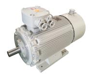 China YBBP series flameproof frequency converter 3-phase induction motor YBBP-560-2 YBBP-630-2 YBBP-710-2 YBBP-800-2 YBBP-560-4 YBBP-630-4 YBBP-710-4 YBBP-800-4 YBBP-560-6 YBBP-630-6 YBBP-710-6 YBBP-800-6 for sale