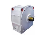 China TBVF series mining explosion-proof three-phase permanent magnet synchronous variable frequency motor TBVF-90/40YC TBVF-110/40YC TBVF-132/40YC TBVF-160/40YC TBVF-200/40YC TBVF-220/40YC TBVF-250/40YC for sale